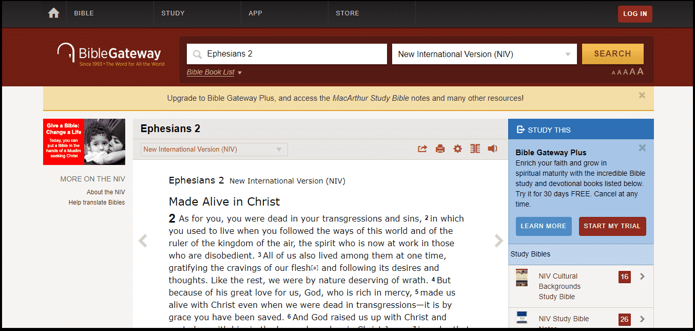 How to Study the Bible for Beginners