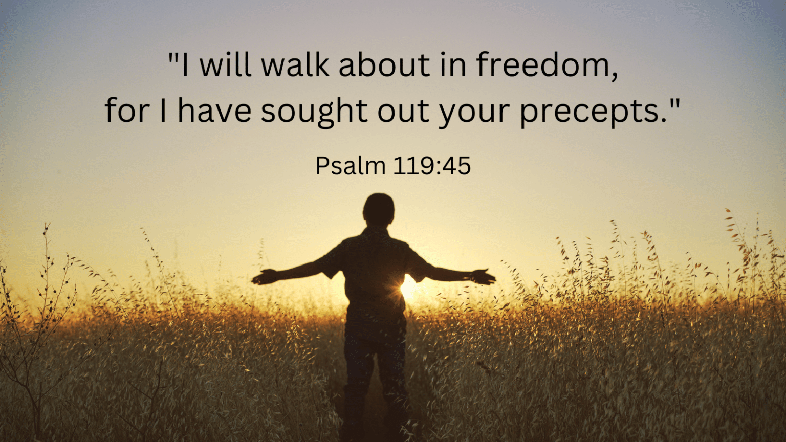 25 Patriotic Bible Verses To Celebrate Veteran's Day