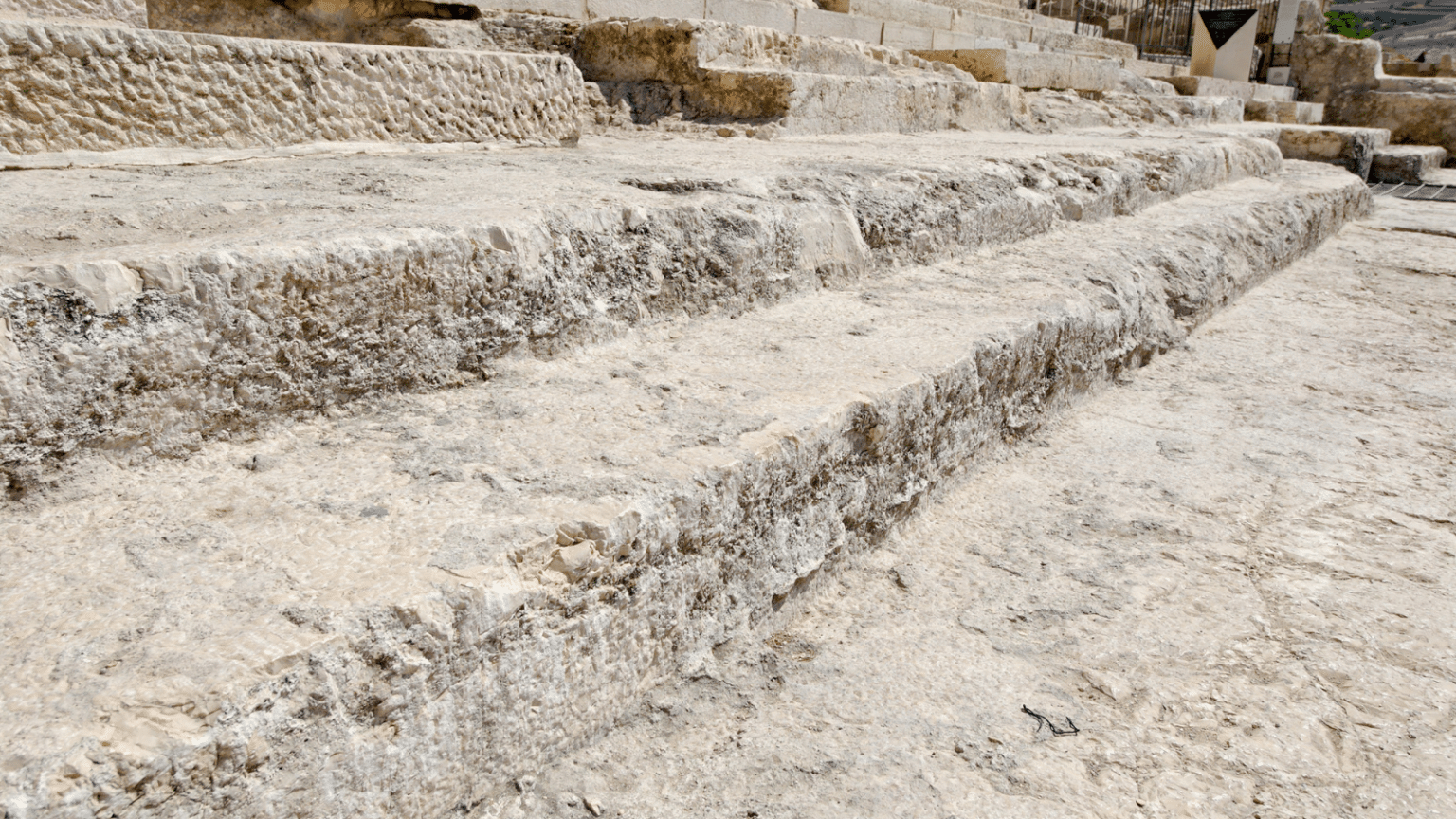 7 Facts From the Bible That Have Actually Been Proven