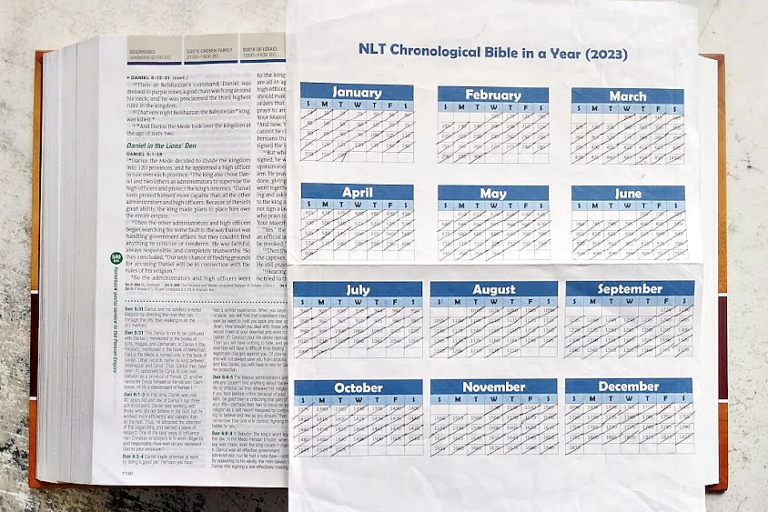 How to Read the Bible in a Year (Without Quitting!)