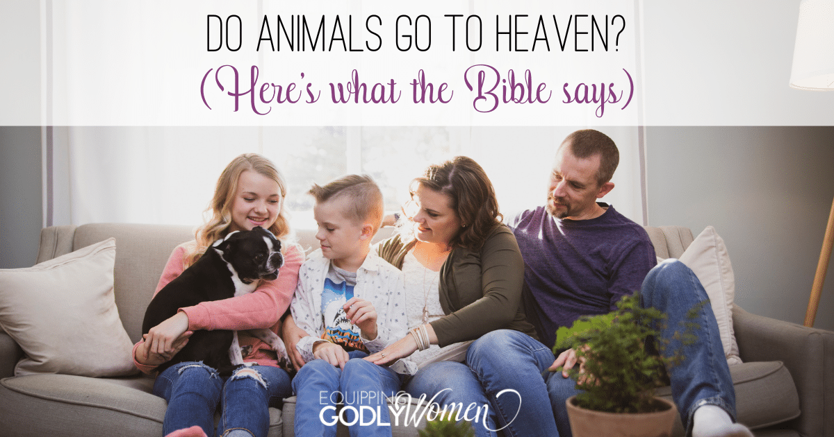Do Animals Go to Heaven? (What Does the Bible Say?)