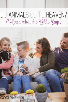 Do Animals Go to Heaven? (What Does the Bible Say?)